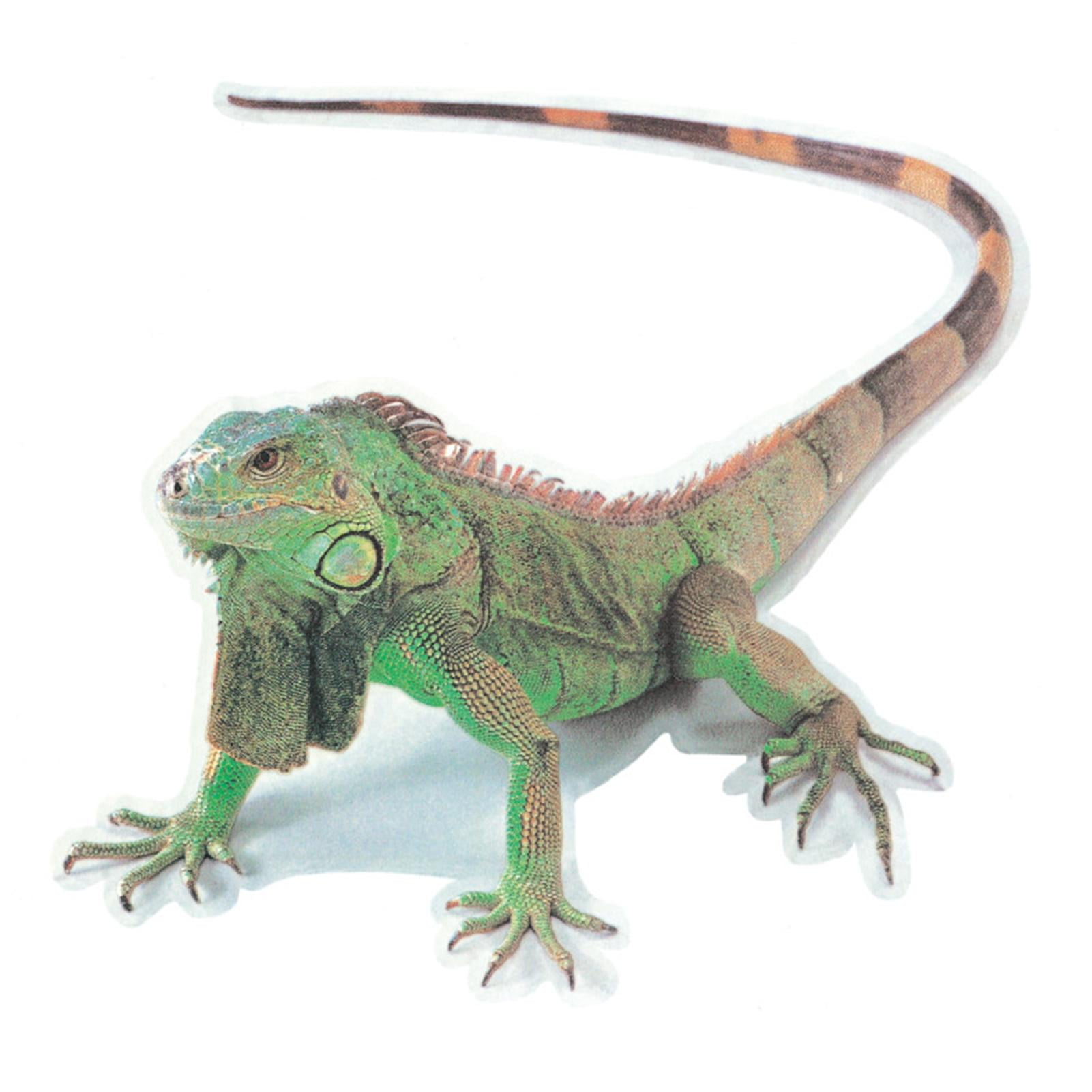 Waterproof Car Stickers Decals, Animal Laptop Wall Window Bumper ...