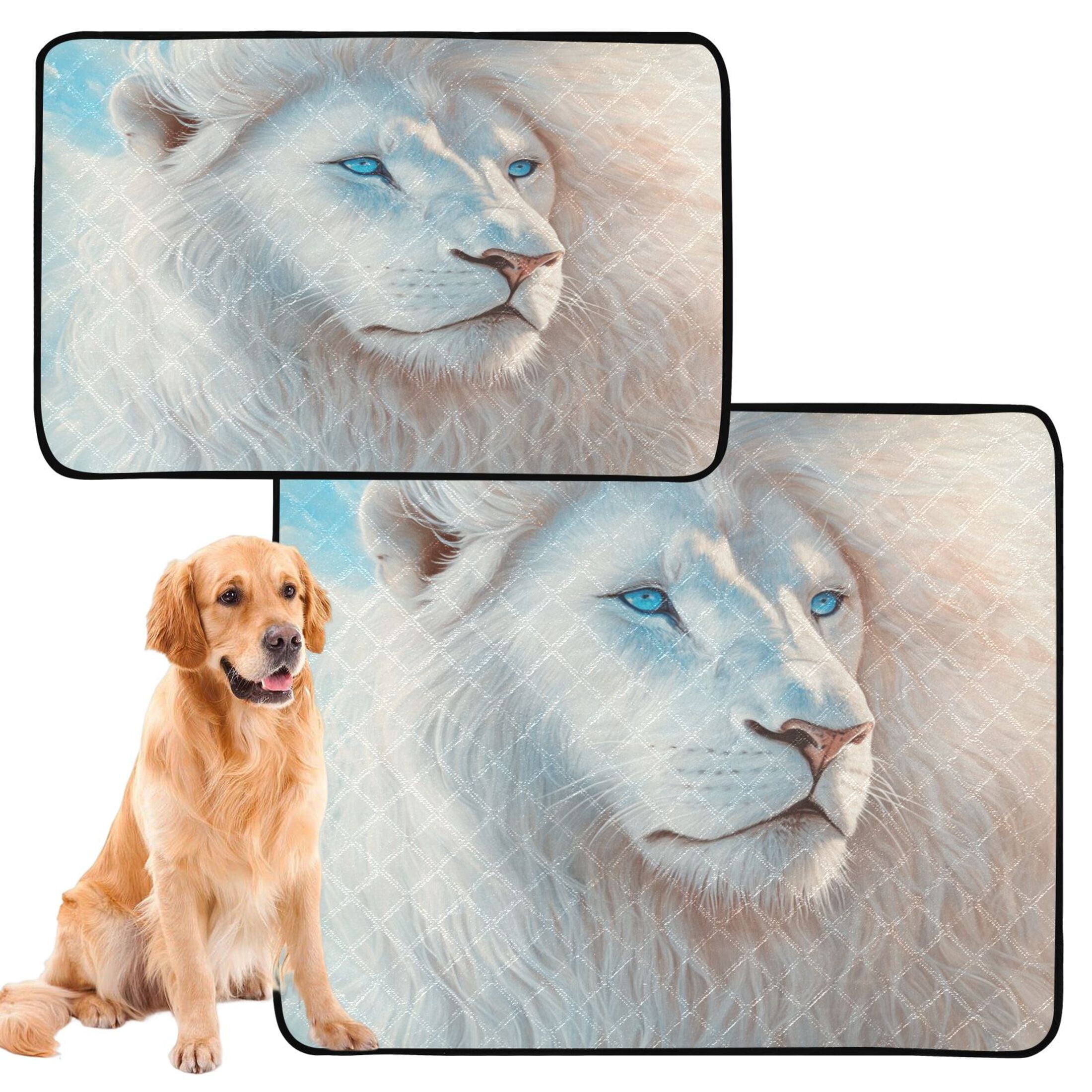 Waterproof Dog Cat Pet Mat with Plush Absorbent Surface & Non-Slip ...