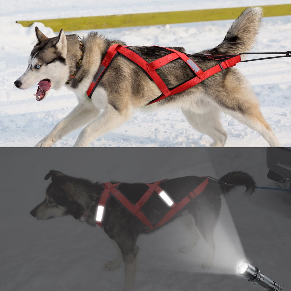 Waterproof Dog Sledding Harness Reflective Pet Sledding Skijoring ...