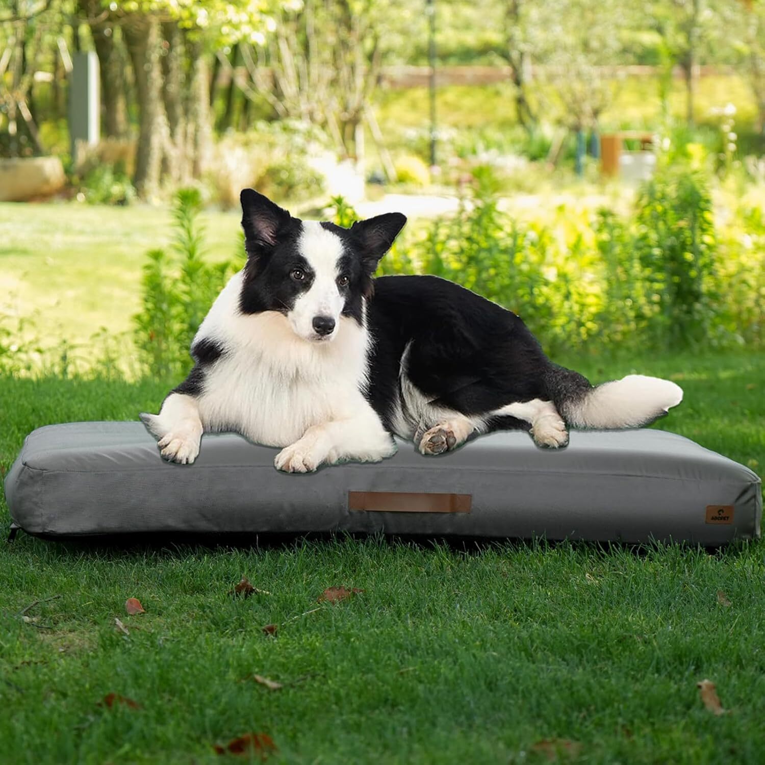 Waterproof Inflatable Dog Bed: Portable Anti-Slip Travel Mat for Medium ...
