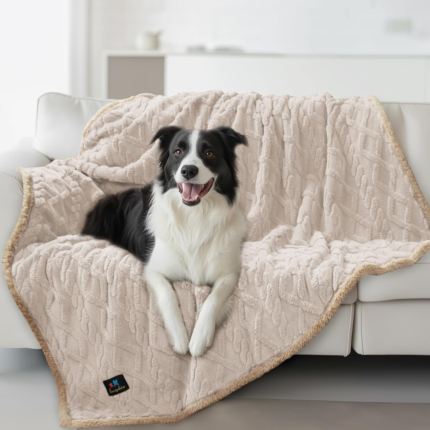 Waterproof Pet Blanket, Liquid Pee Proof Dog Blankets for Sofa Bed ...