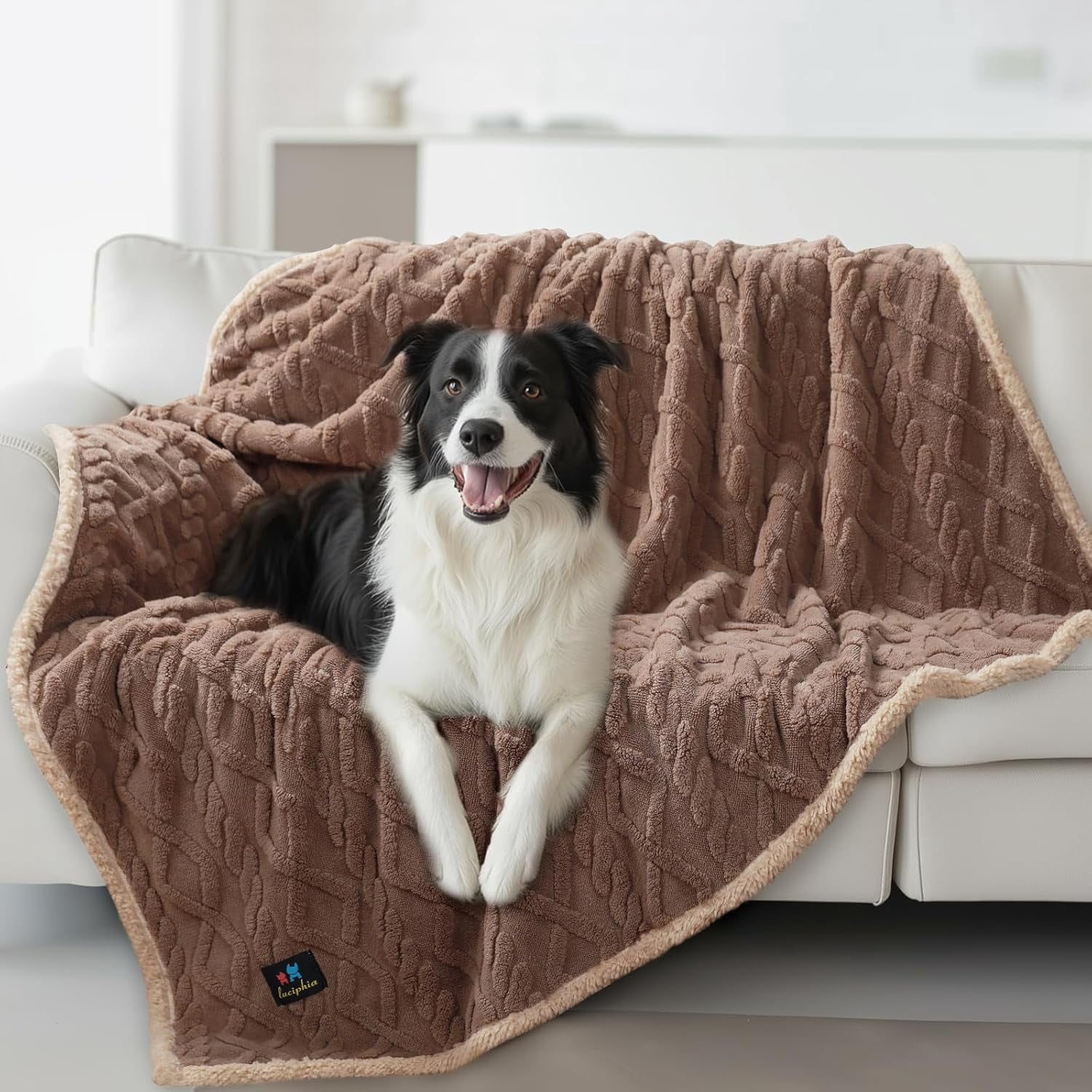Waterproof Pet Blanket, Liquid Pee Proof Dog Blankets for Sofa Bed ...