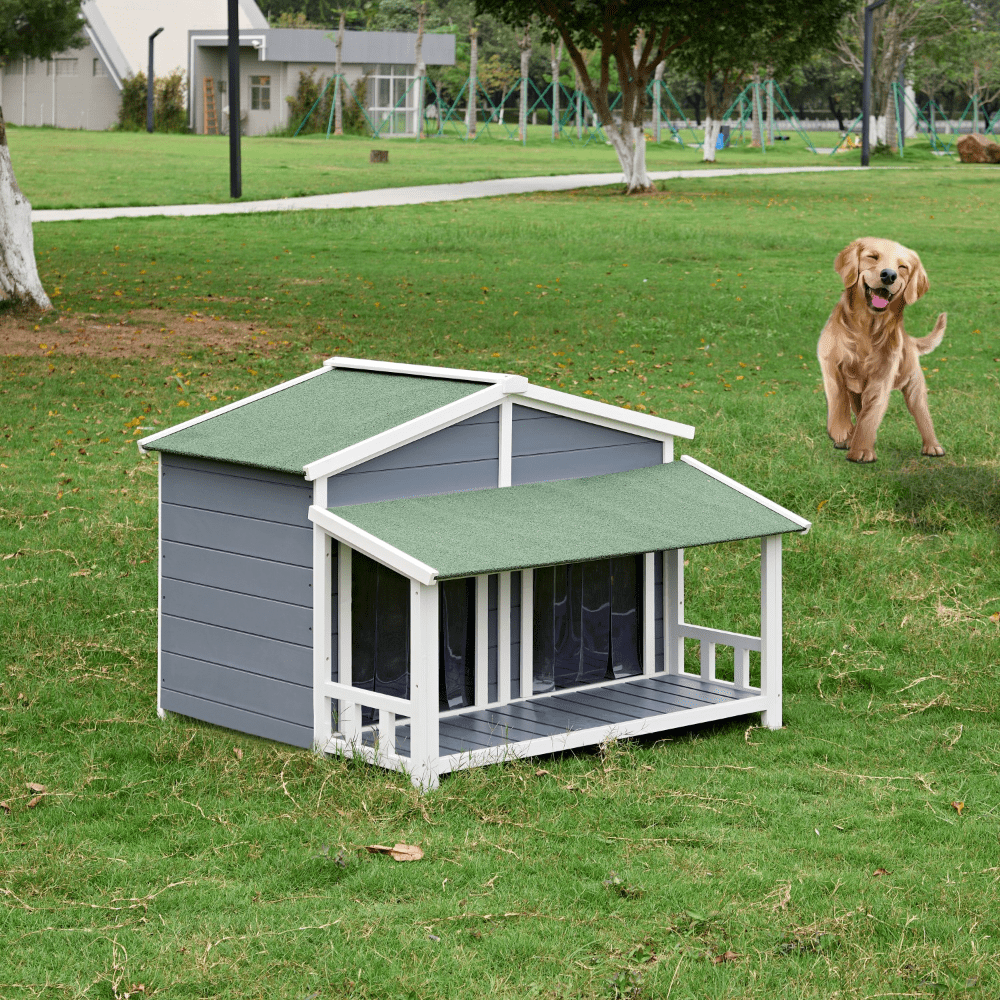 Waterproof Pine Wood Dog Kennel Elevated Floor Dual Doors Porch Blue ...