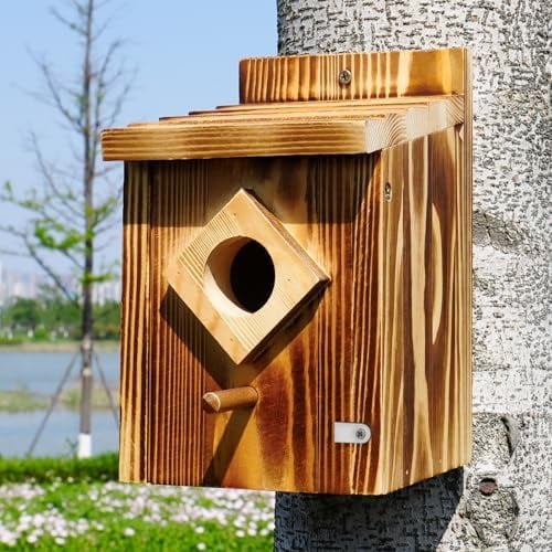 Waterproof Wooden Blue Bird House, Spray Paint Treatment Bluebird Box ...