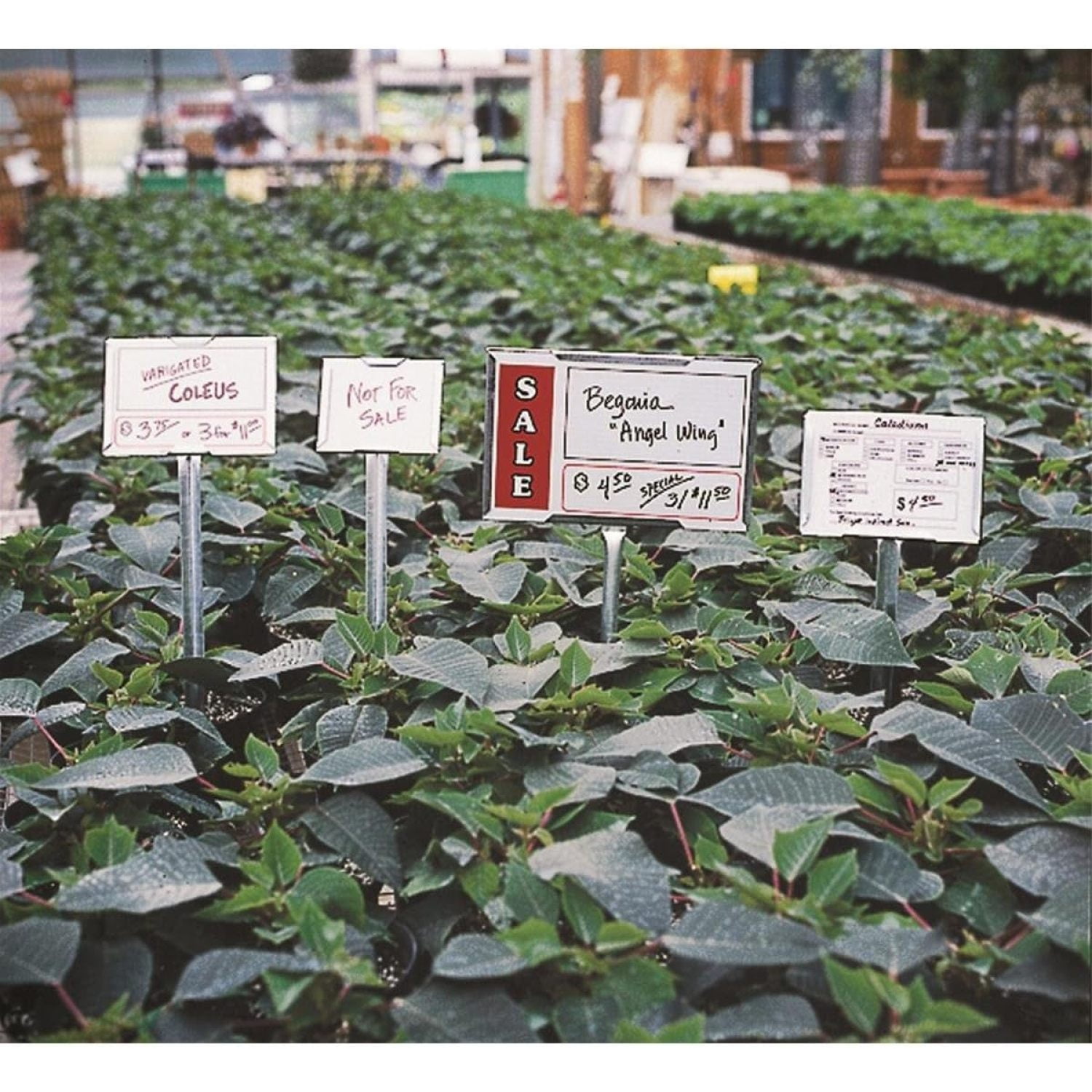 Waterproof and Reusable Vinyl Sign Cards for use with Galvanized Steel ...