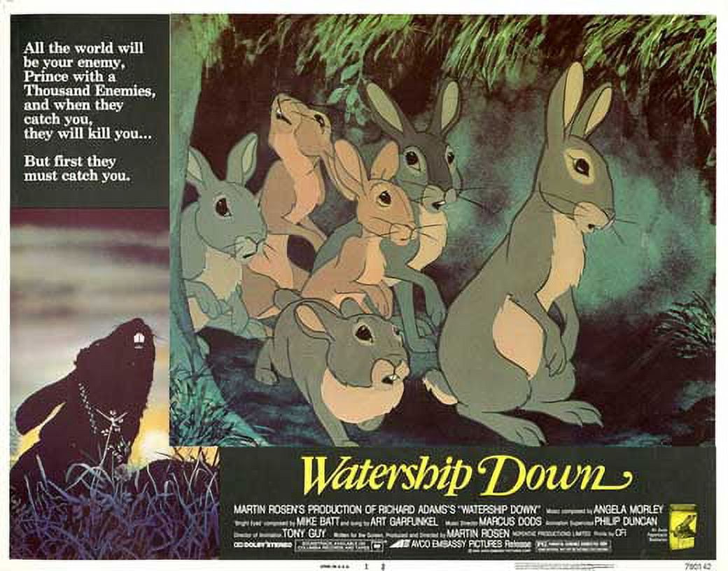 WATERSHIP retailer DOWN LIMITED EDITION 4K ULTRA