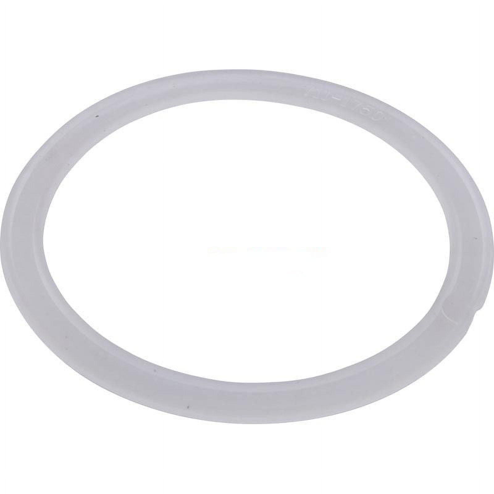 Waterway 711-1750 Poly Jet Wall Fitting Gasket - Walmart.com
