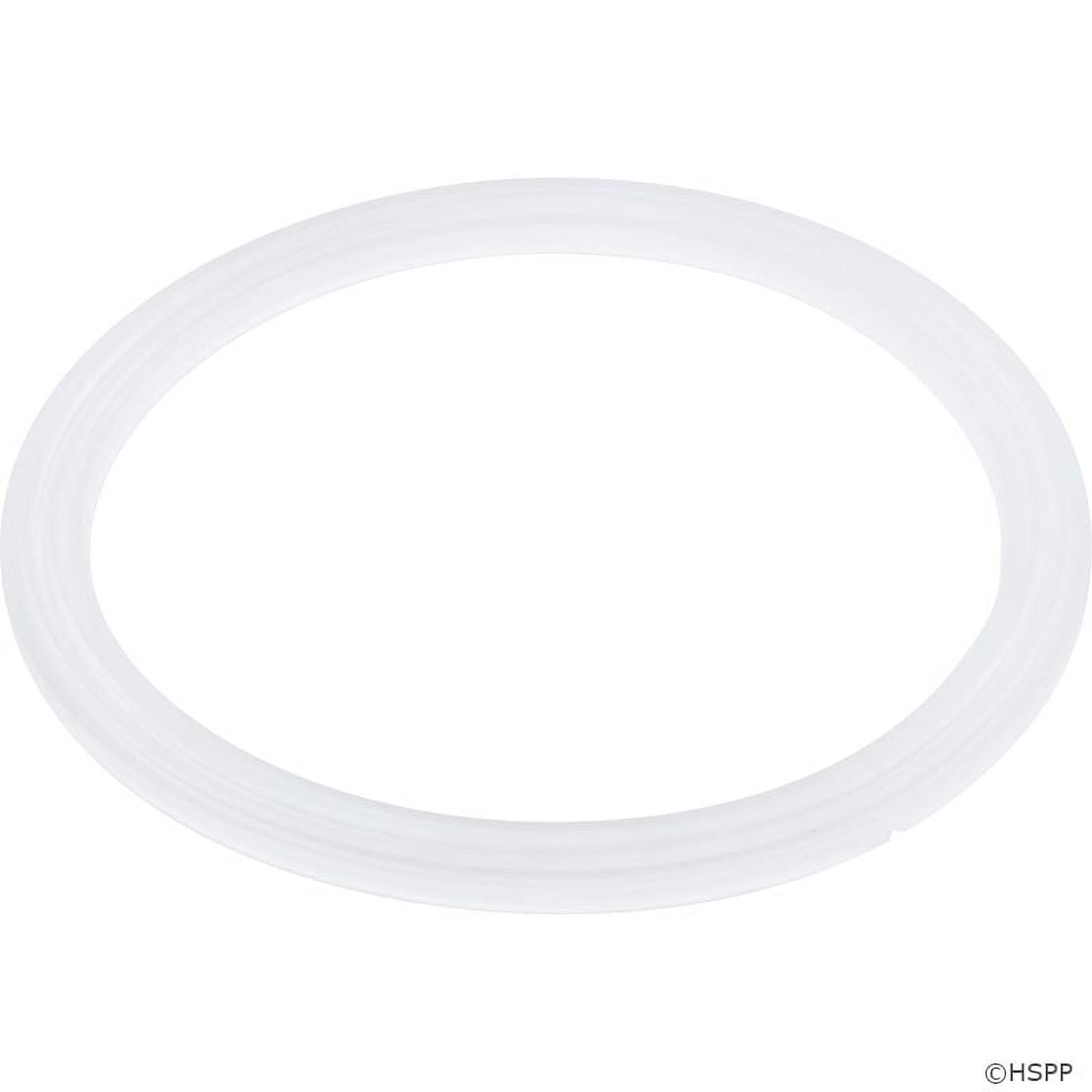 Waterway 711-4410 Poly Storm Spa Jet Flat Wall Fitting Gasket - Walmart.com