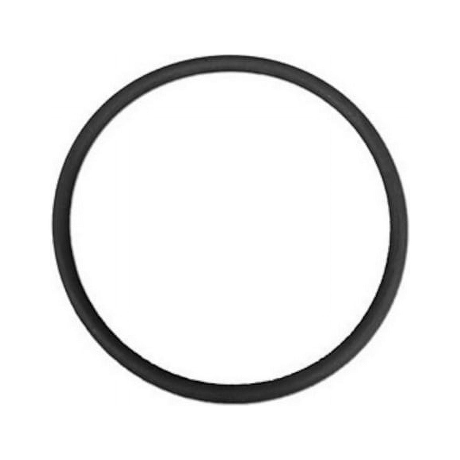 Waterway 805-0435 O-Ring, Filter, Waterway, Sand Filter - Walmart.com