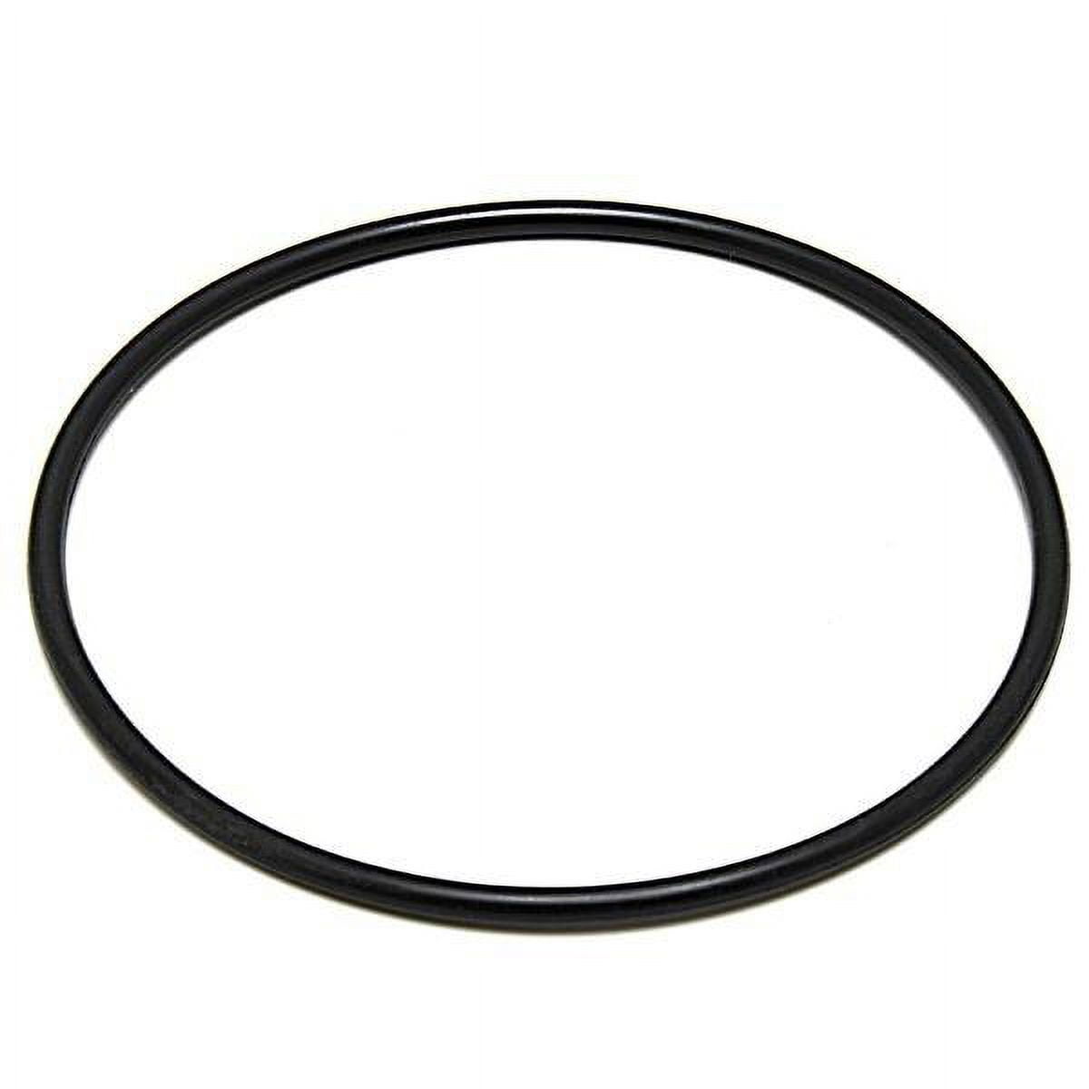 Waterway Diffuser O-Ring - Walmart.com