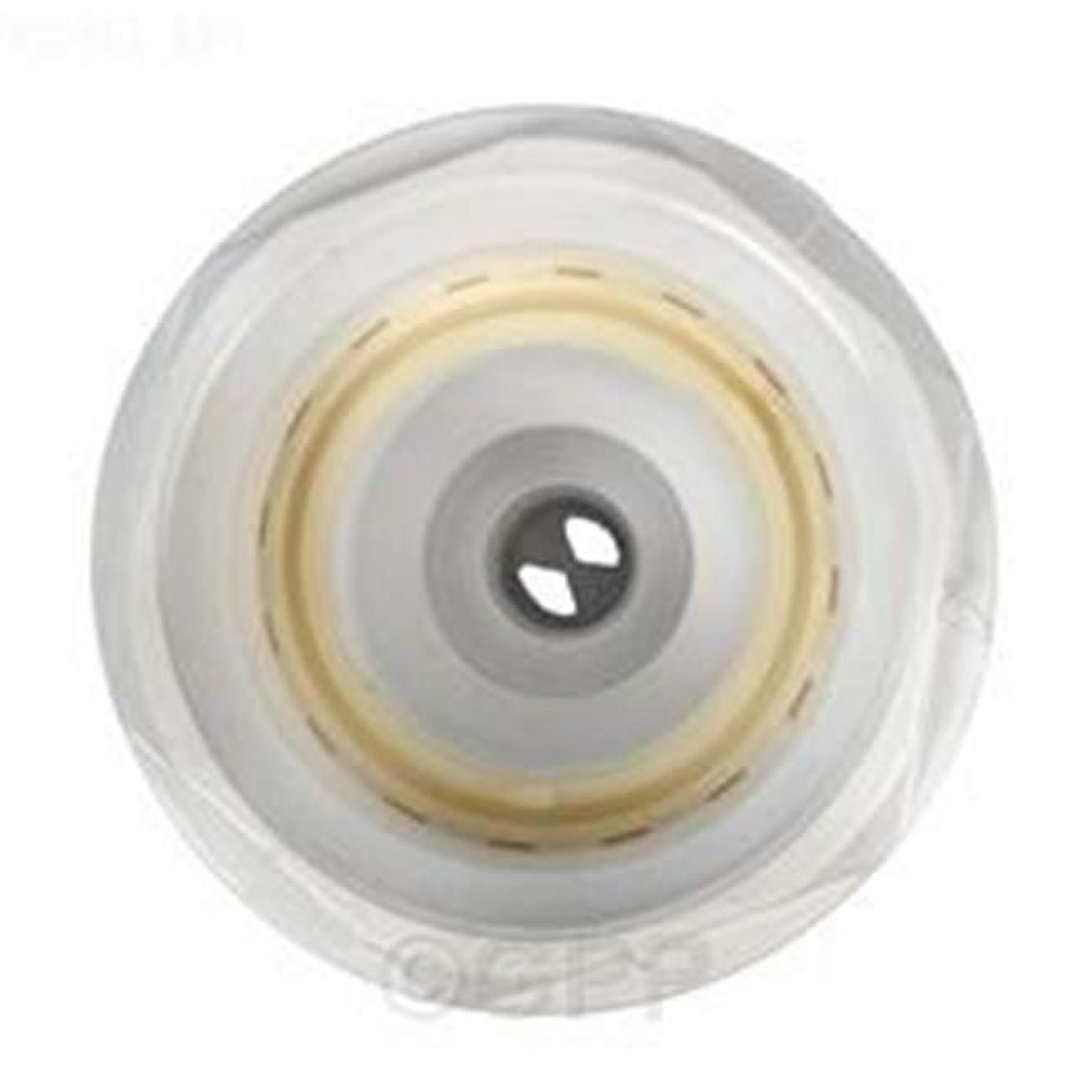 Waterway Plastics 228-6710 Power Storm Threaded Wall Fitting with 1 in ...