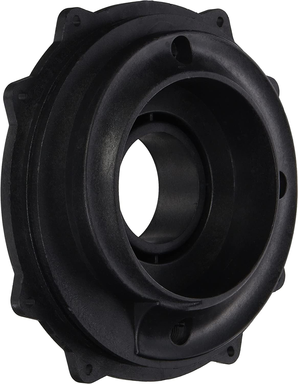 Waterway Plastics 806105063892 2.5 Inch Executive Pool and Spa Pump ...