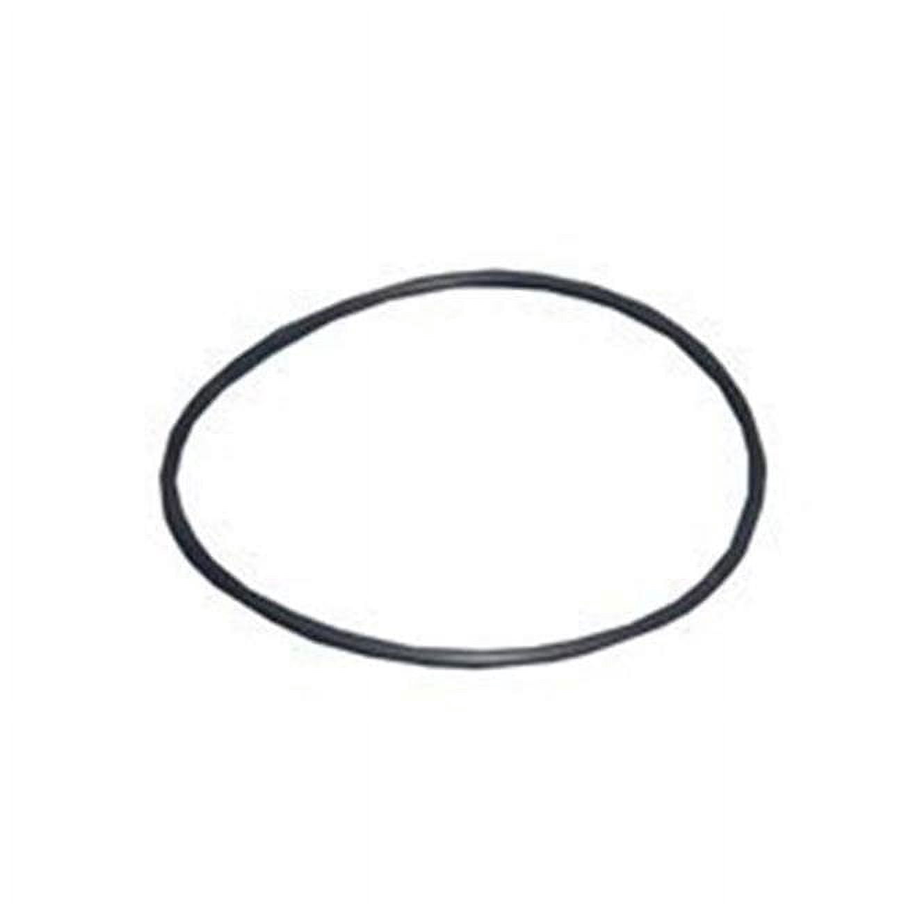 Waterway Plastics O-Ring, Pump Housing Tiny Might - Walmart.com