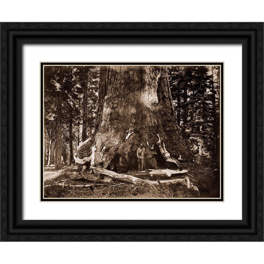 Watkins, Carleton 18x15 Black Ornate Wood Framed with Double Matting ...