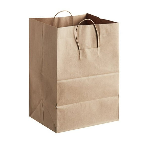 Watson Distributing 12" x 9" x 15.75" Paper Bag Round Handle 200/Case ...