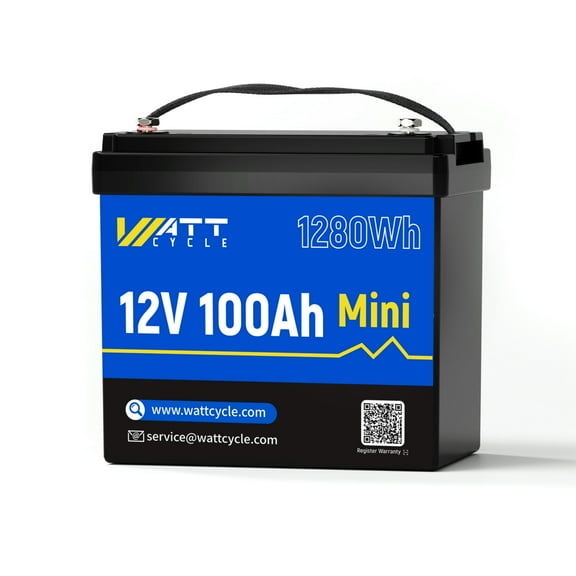 EverStart Platinum BOXED AGM Marine and RV Deep Cycle Battery, Group ...