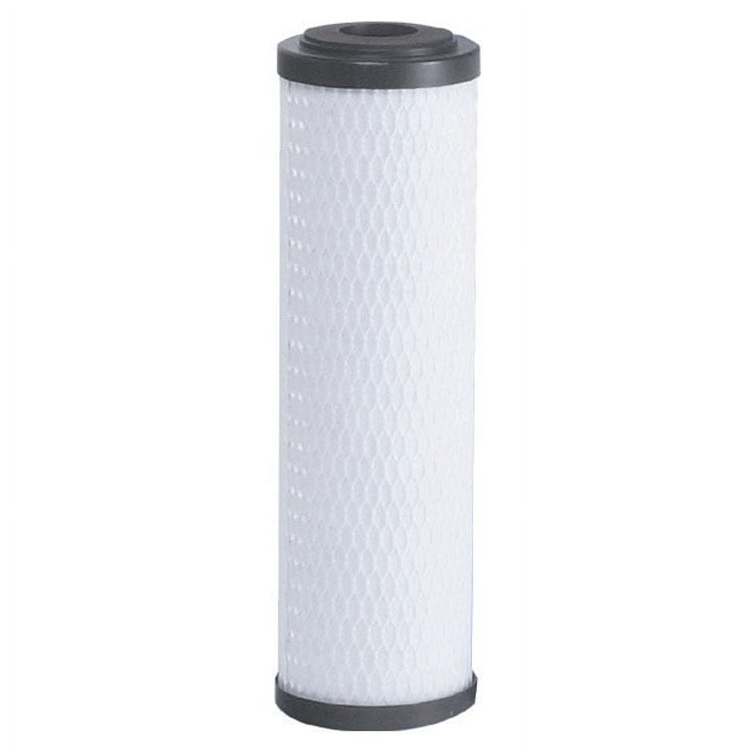 Watts C-MAX 5 Micron Replacement Water Filter Cartridge MAXPB-975 ...