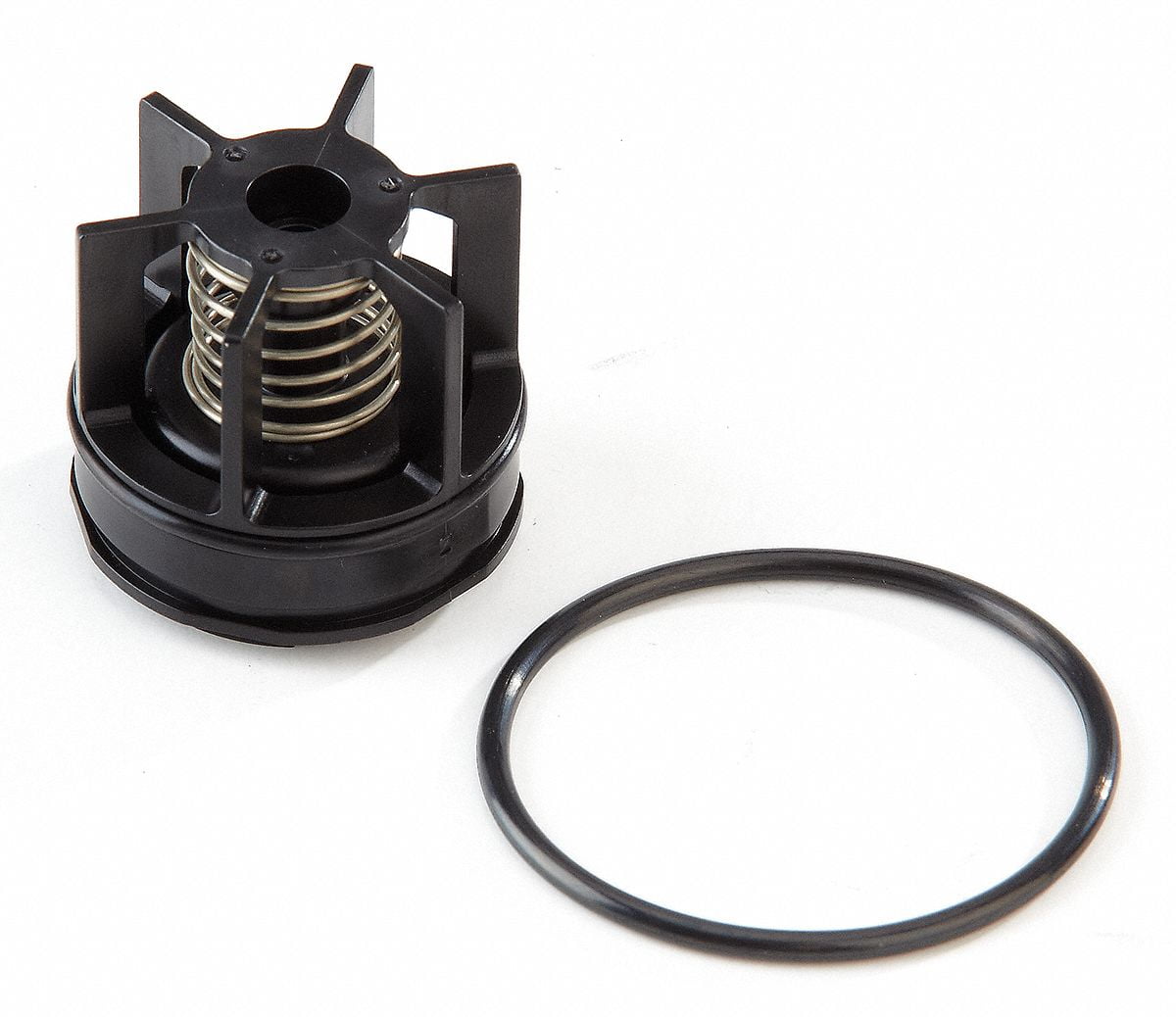 Repair Kit,Watts Series 007 M3, 3/4 In - Walmart.com