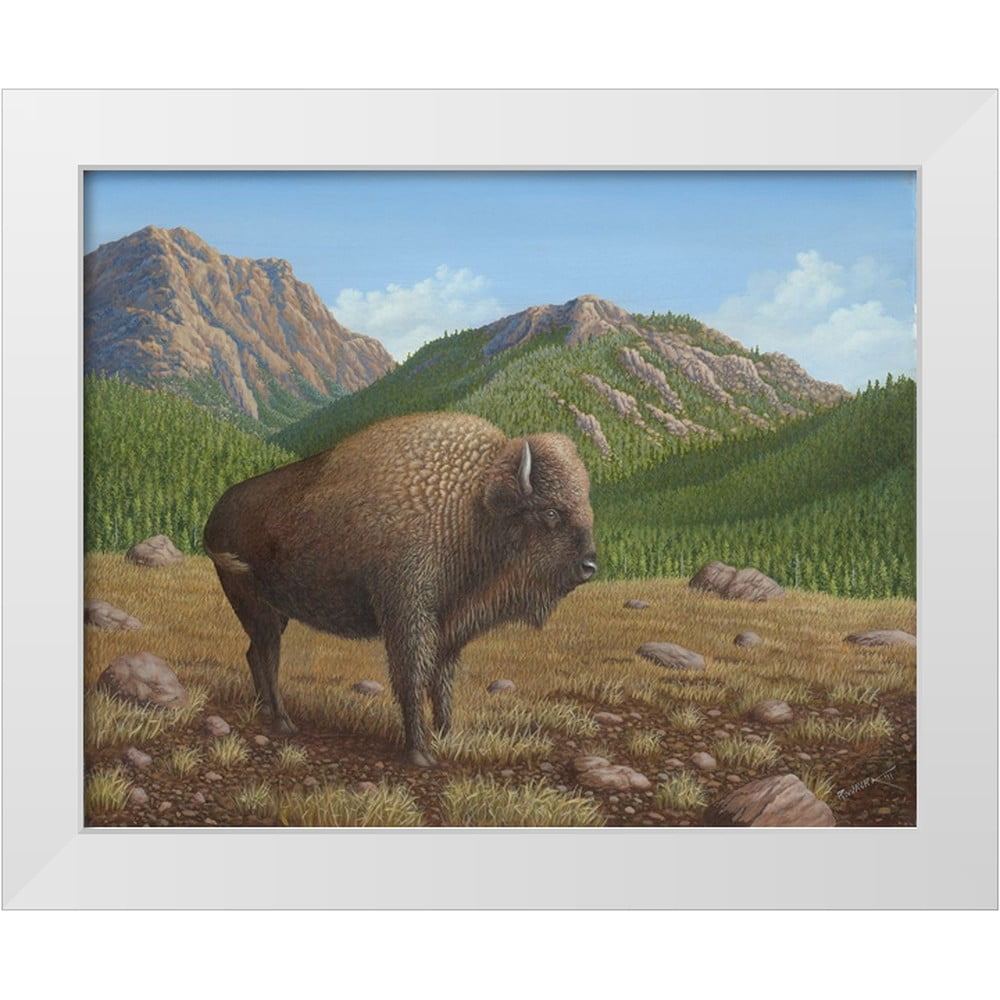 Wavra, Robert 32x26 White Modern Wood Framed Museum Art Print Titled ...