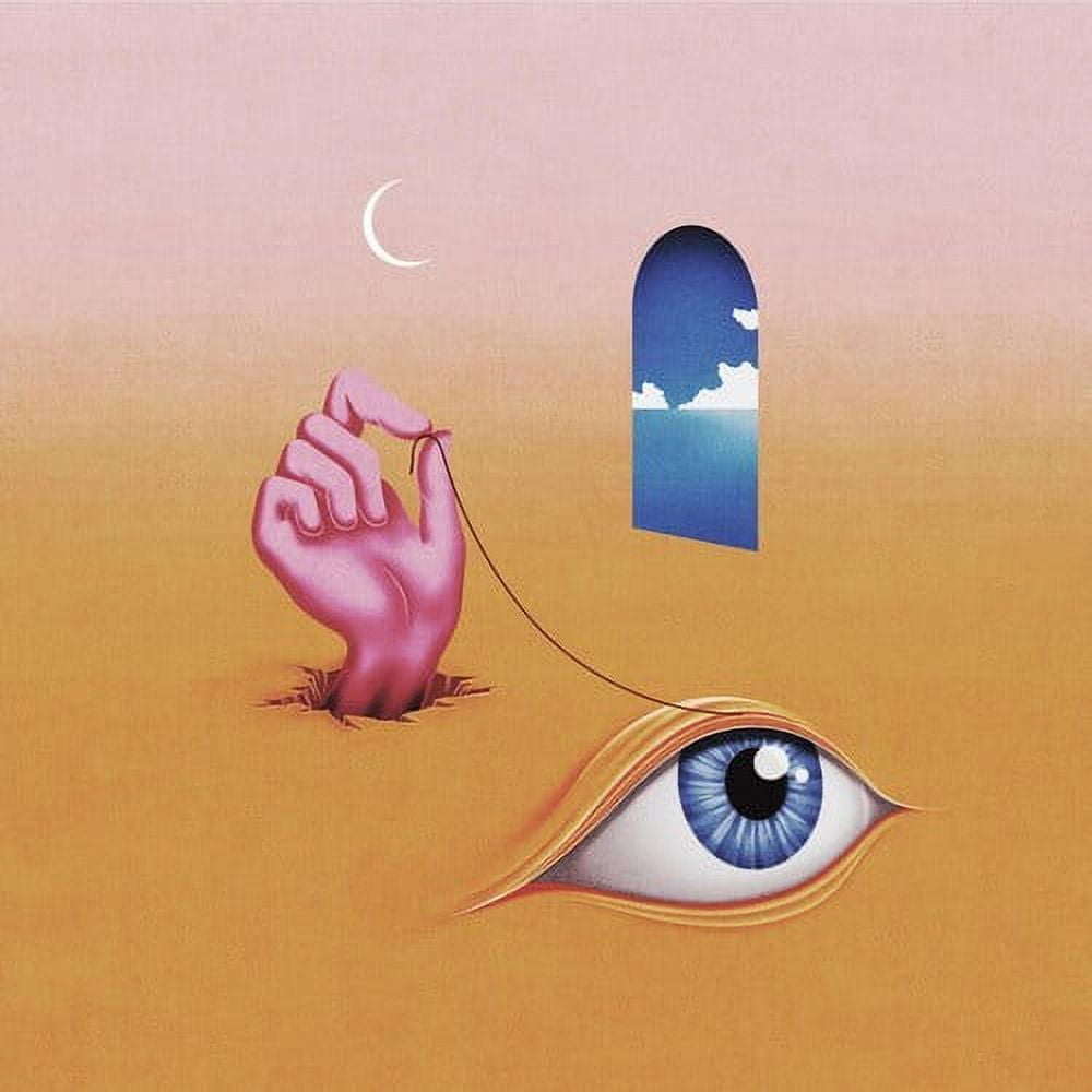 Wavves - Hideaway - Music & Performance - Vinyl - Walmart.com