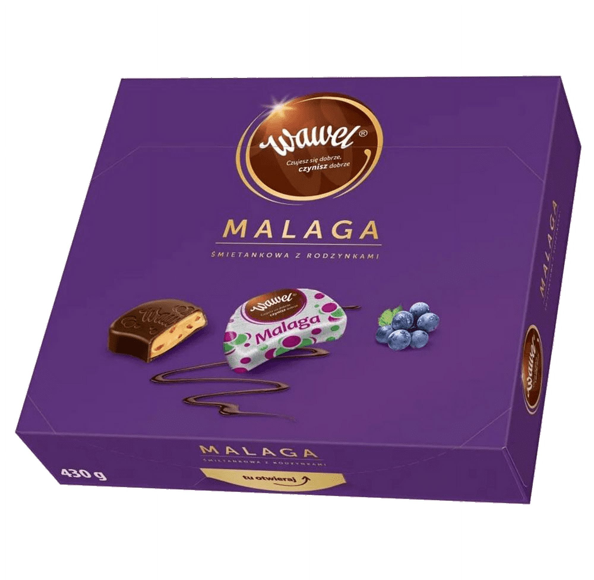 Wawel Malaga Milk Chocolate Candy with Raisins in Nut Filling, Imported ...