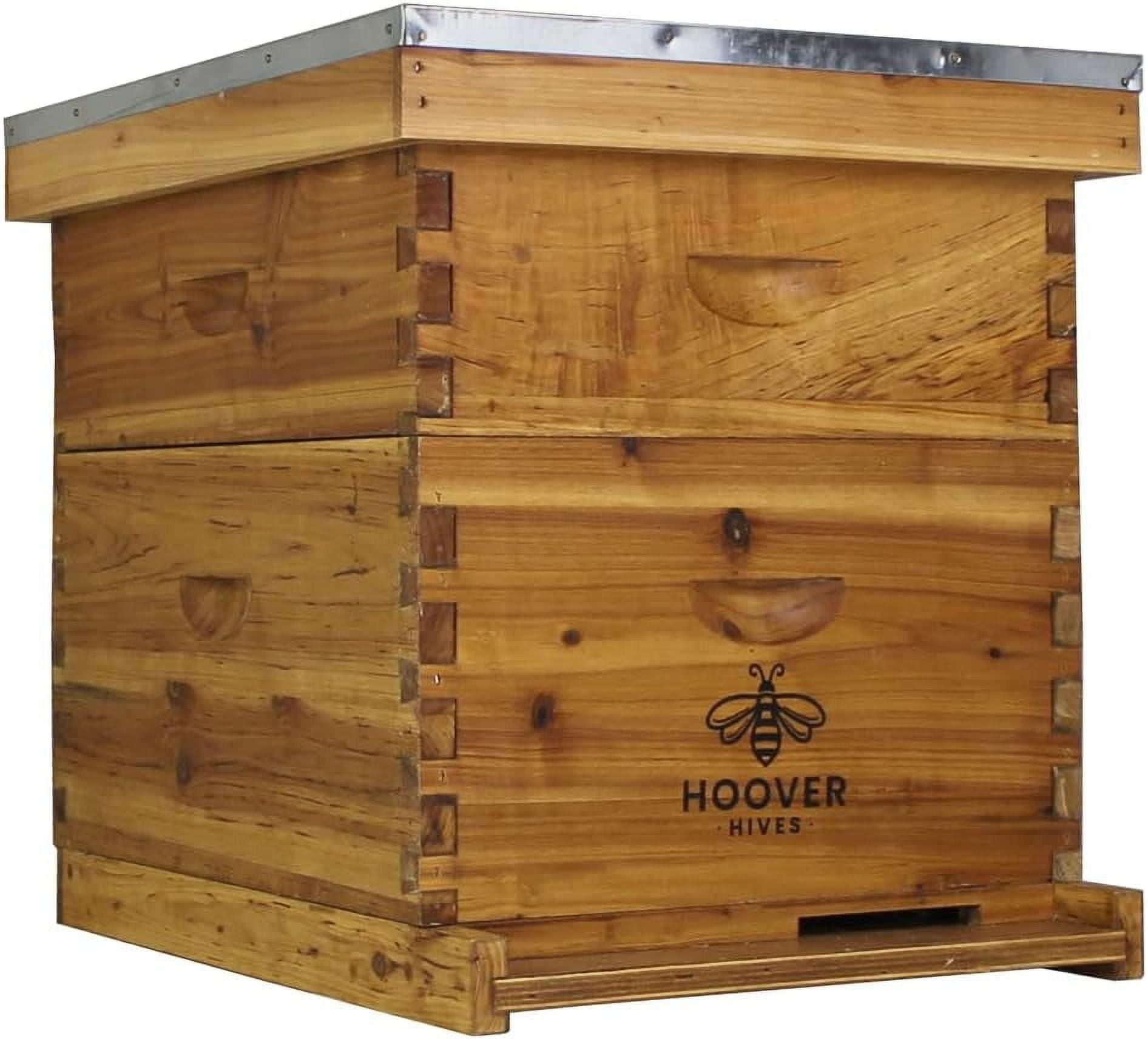 Warre Hive