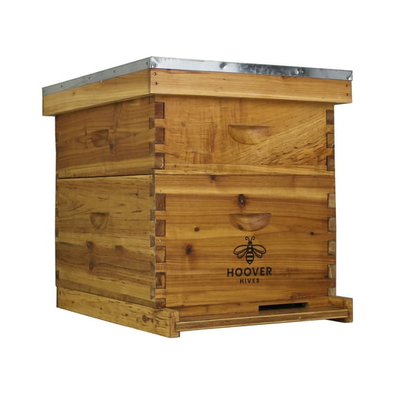 Wax-Coated 10 Frame Beehive - (1)Deep & (1)Medium - Walmart.com