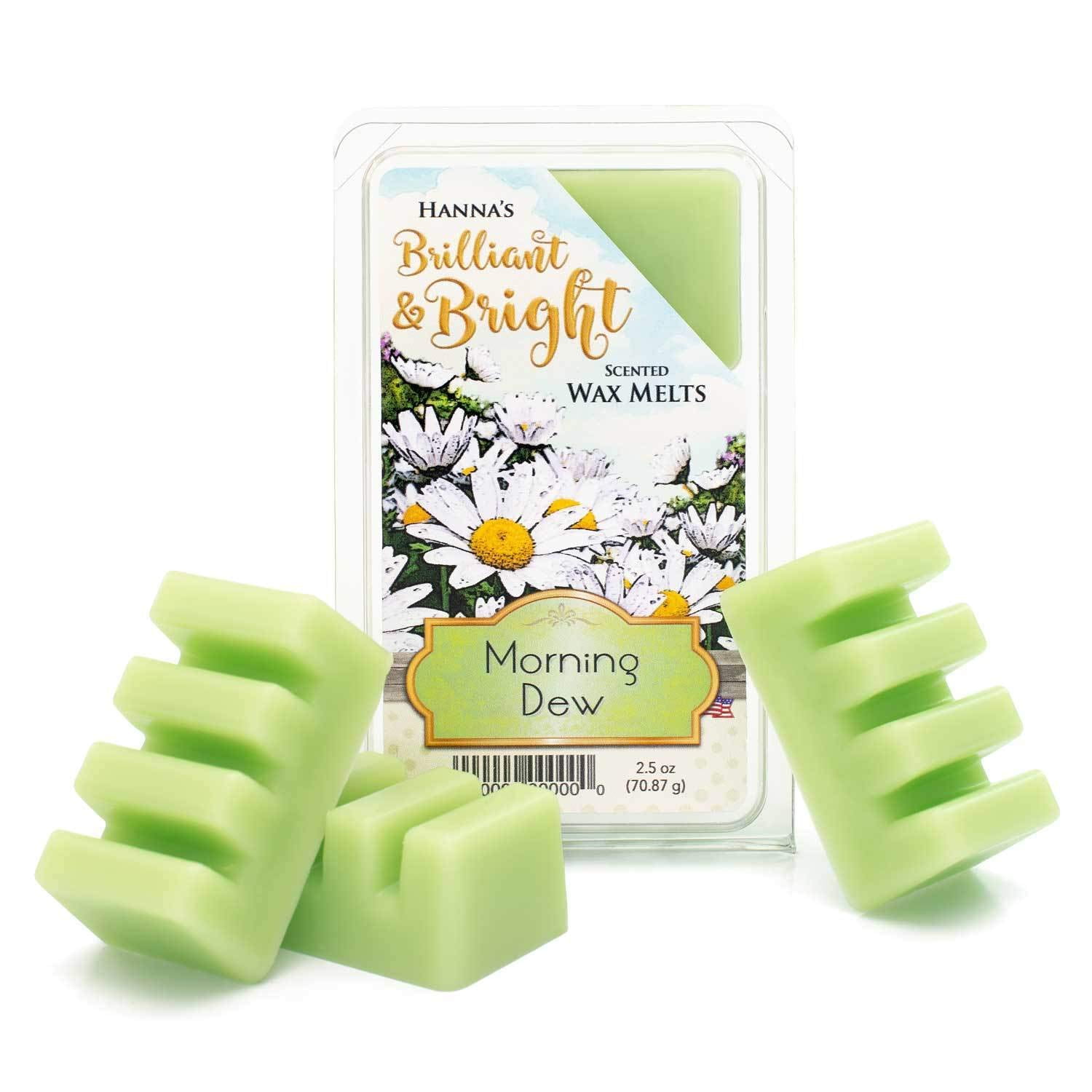 Wax Melts Hannas Brilliant And Bright Morning Dew 25oz