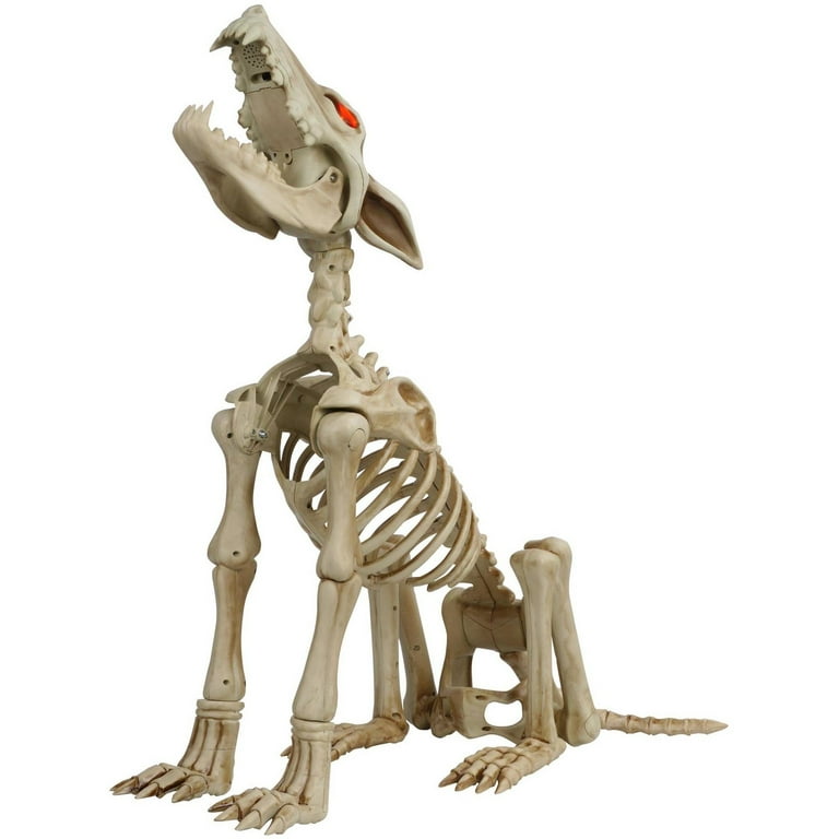 Wolf Skeleton Sitting