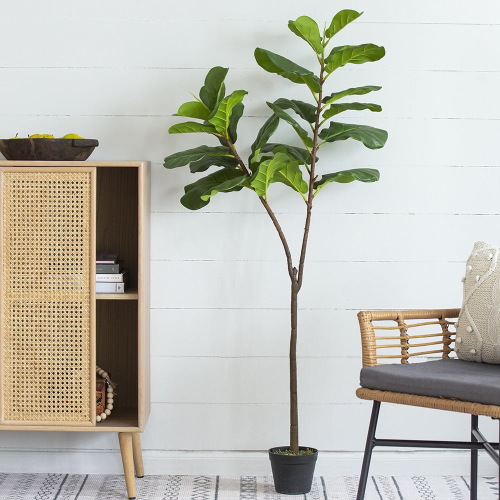 Wayborn Dmax Green Fiddle-Leaf Fig Tree In Pot 18.9″L X 13.4″W X 55.1″H ...