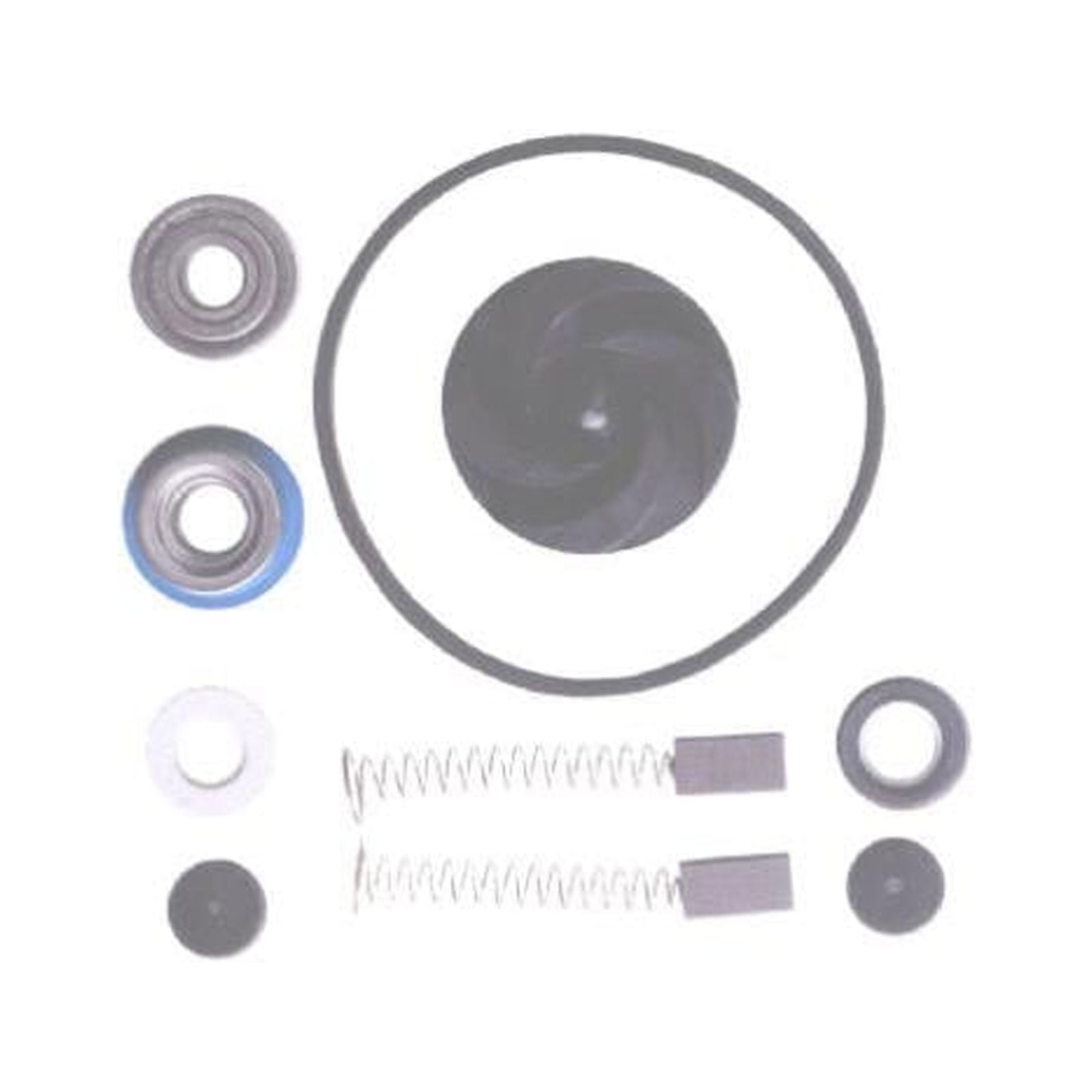 Wayne 56399 Repair Kit For Wayne Sump Pump - Quantity 1 - Walmart.com