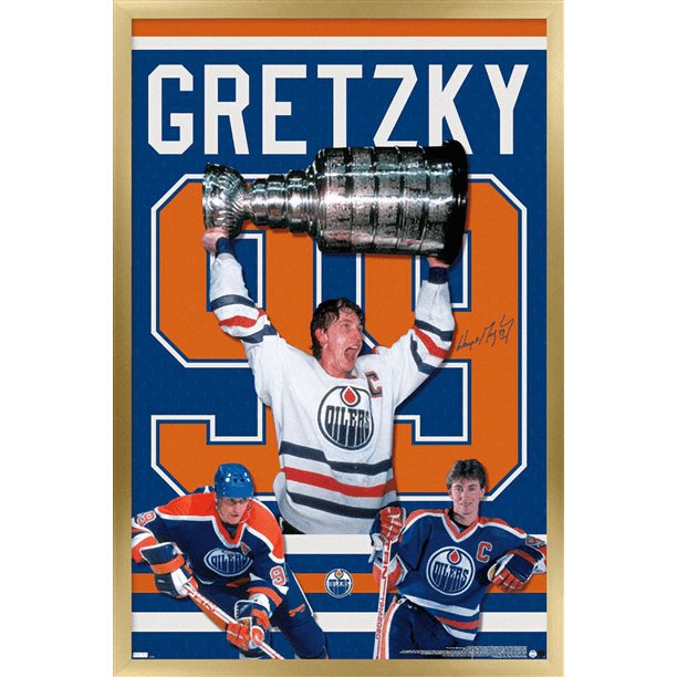 Wayne Gretzky - Jersey Wall Poster, 22.375" x 34", Framed - Walmart ...