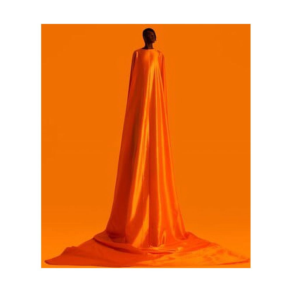 Wayne Snow - Figurine - Music & Performance - Vinyl - Walmart.com