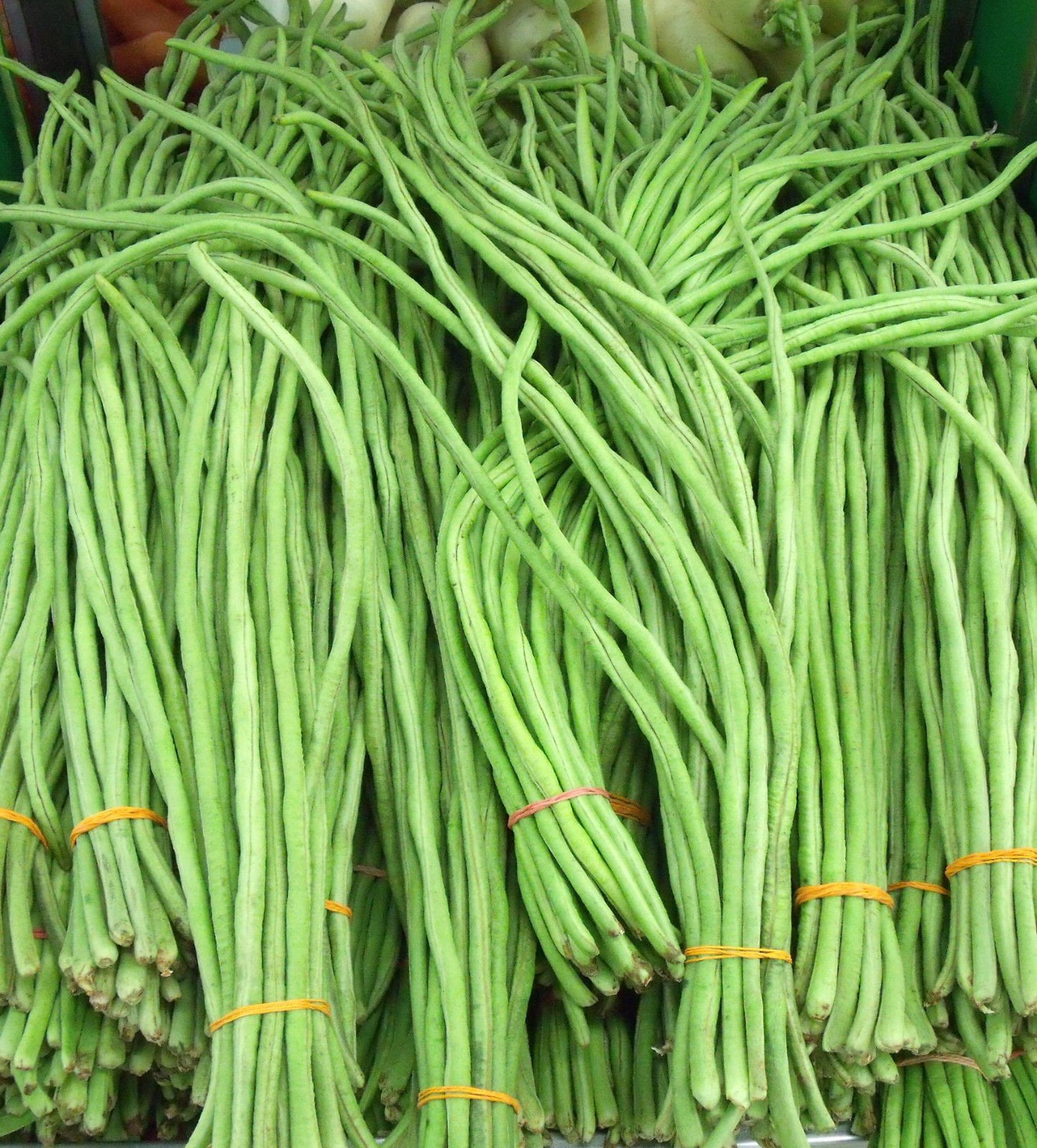 Wbut2023 Chinese Long Bean Seeds, Yardlong Bean, Asparagus Bean with ...