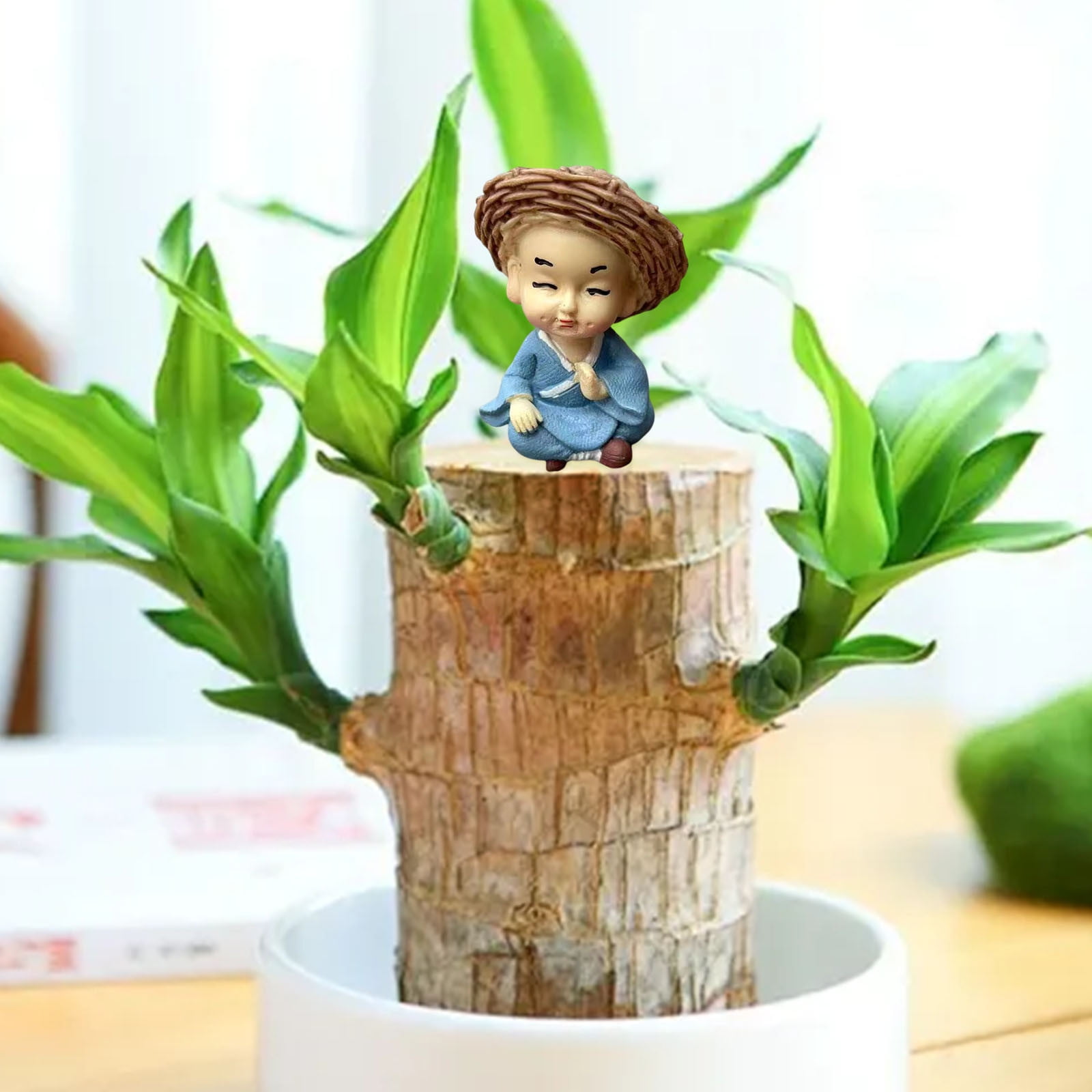 Wdhugt Office Desk Plant Decor Potted Ornament Brazilian Wood Base ...