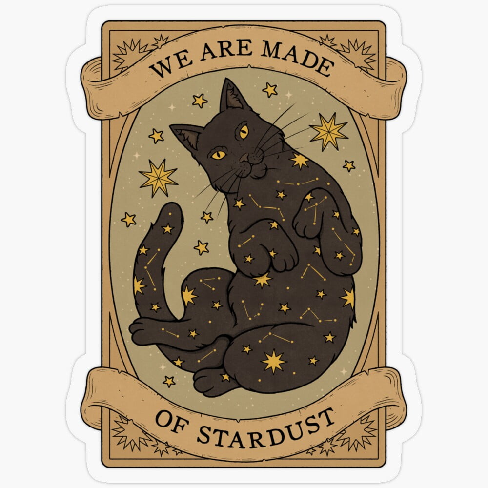 We Are Made Of Stardust Transparent Sticker Phone Decal Water Bottle ...