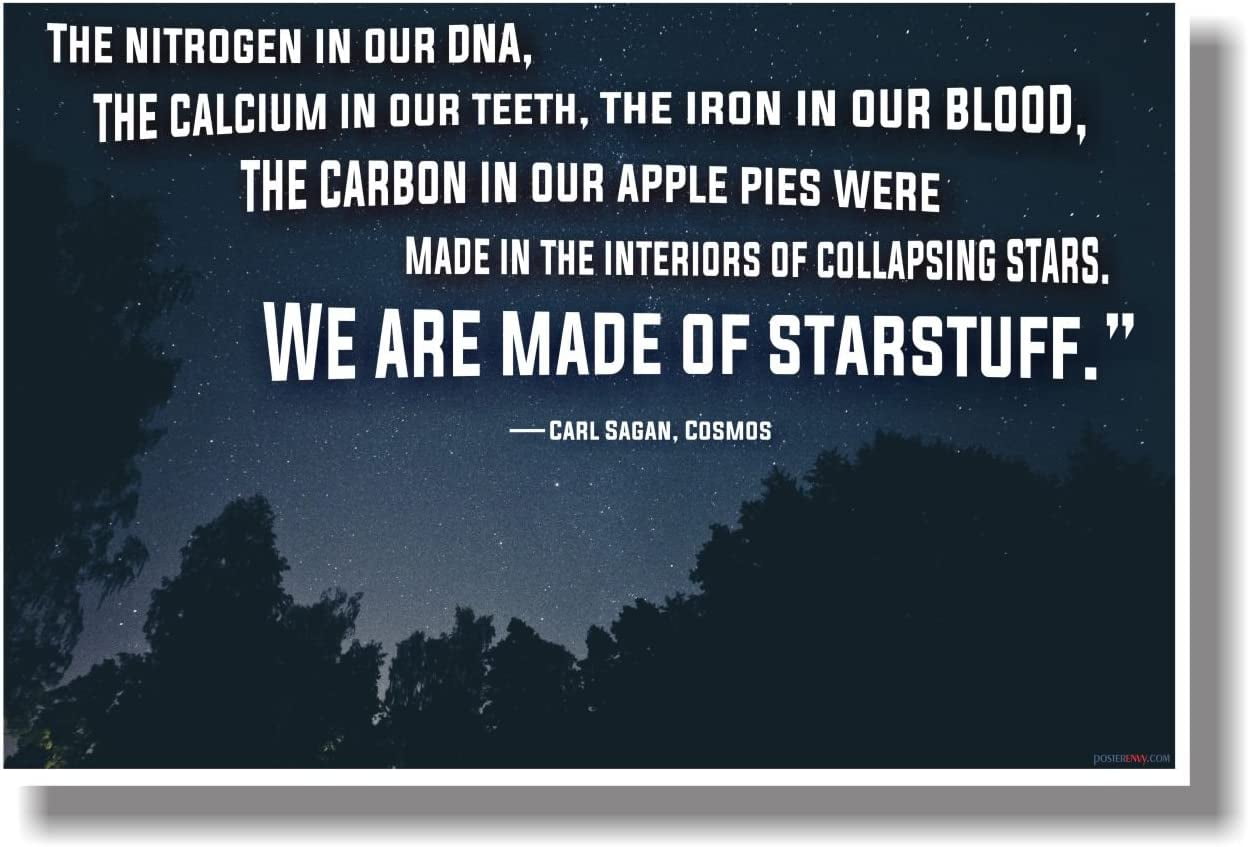 We Are Made Of Starstuff - Carl Sagan, Cosmos (2) - NEW Science Poster ...
