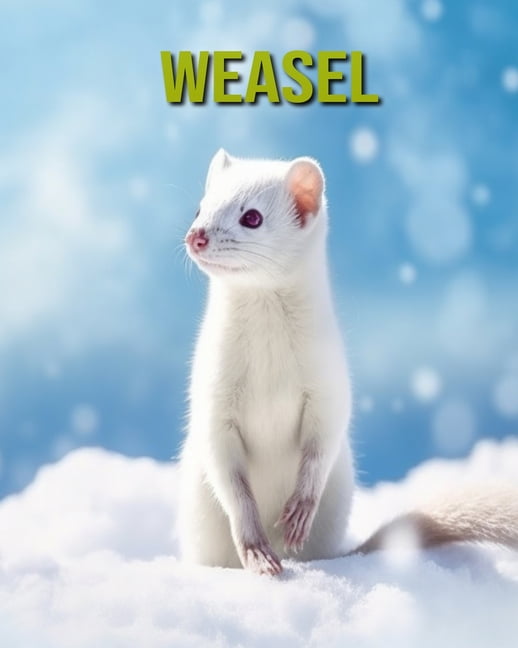 Weasel: Fun and Educational Book for Kids with Amazing Facts and Pictures - Walmart.com