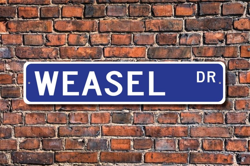 Weasel Weasel Gift Weasel Sign Weasel decor Weasel lover small mammal ...