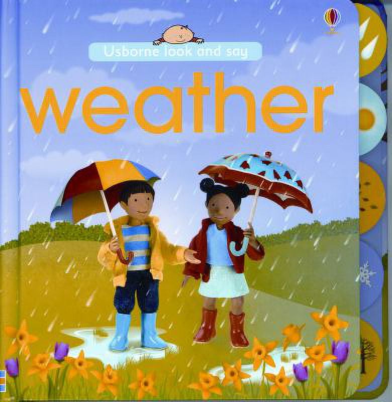 Pre-Owned Weather Usborne Look and Say Board Book Jo Litchfield ...