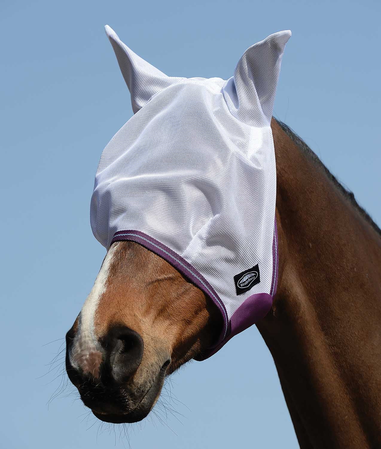 WeatherBeeta ComFITec Airflow Fly Mask, White/ Violet/ Blue, Cob ...