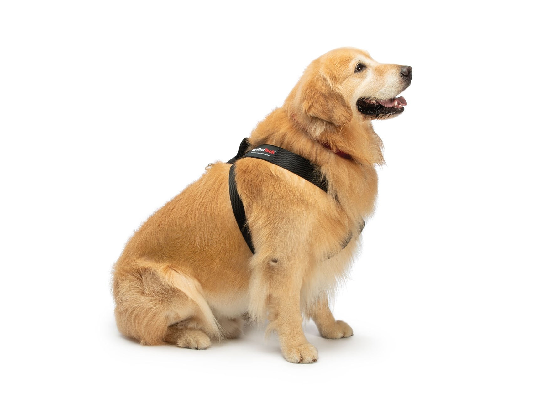 WeatherTech Pet Safety Harness - Keeps Your pet Safe and Secure While ...