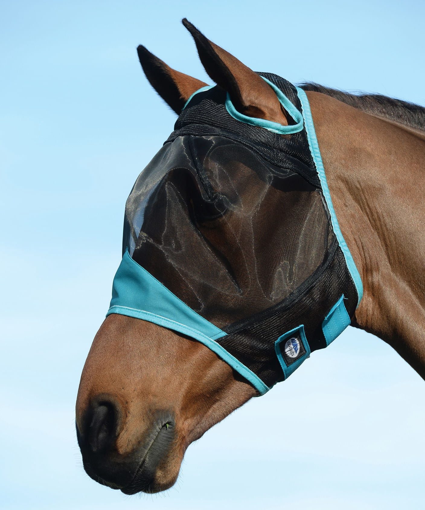 Weatherbeeta Comfitec Fine Mesh Mask Black/Turquoise Pony - Walmart.com