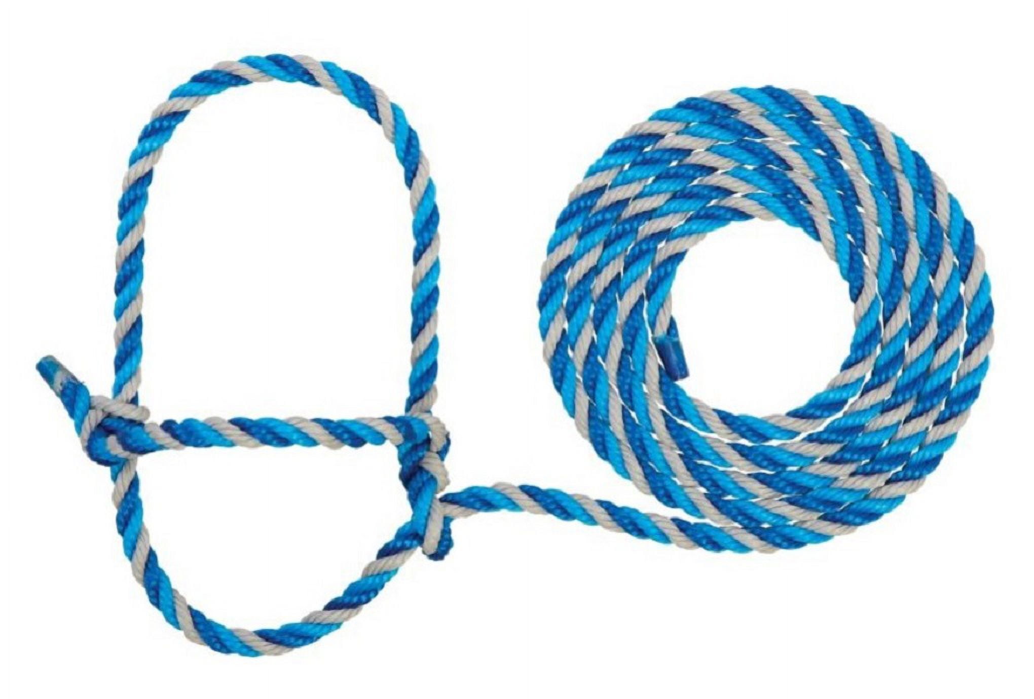 Weaver Leather Adjustable Cattle Rope Halter Cow - Dark Blue/Turquoise ...