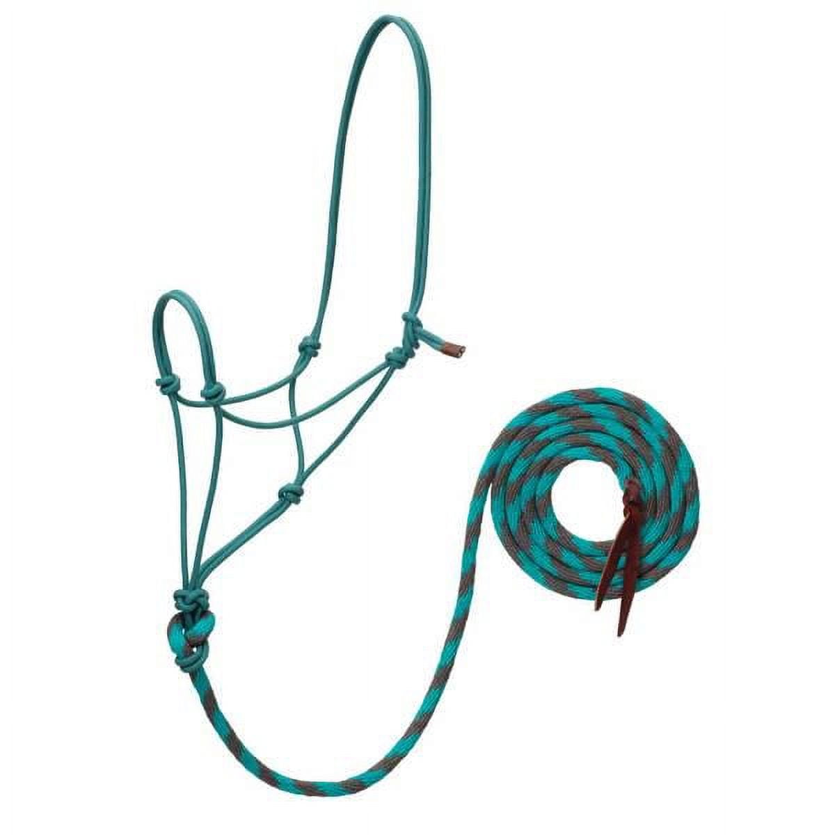 Horse Halters Leads Weaver Leather Tack