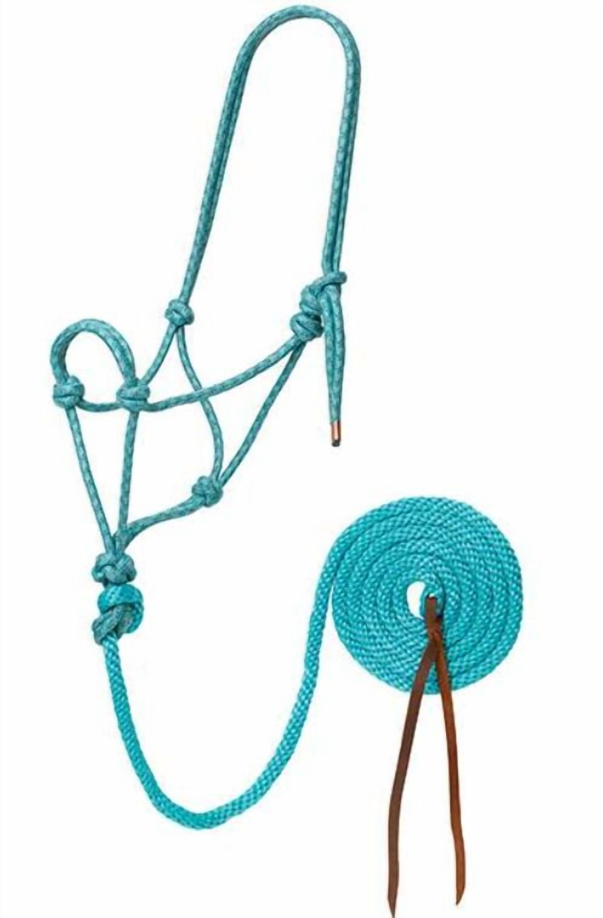 Weaver Leather Diamond Braided Rope Halter w/10ft Lead Turq/Brown/Tan ...