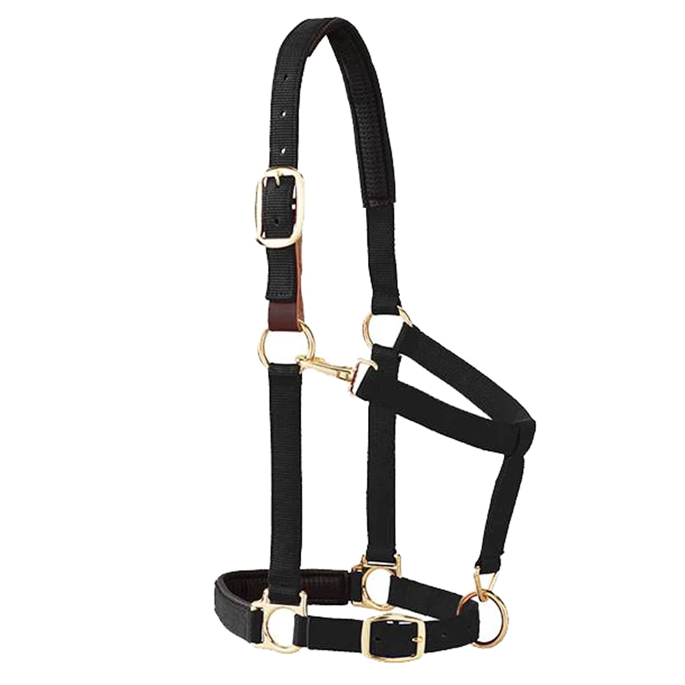 Weaver Leather Horse Padded Breakaway Adjustable Chin Throat Snap ...
