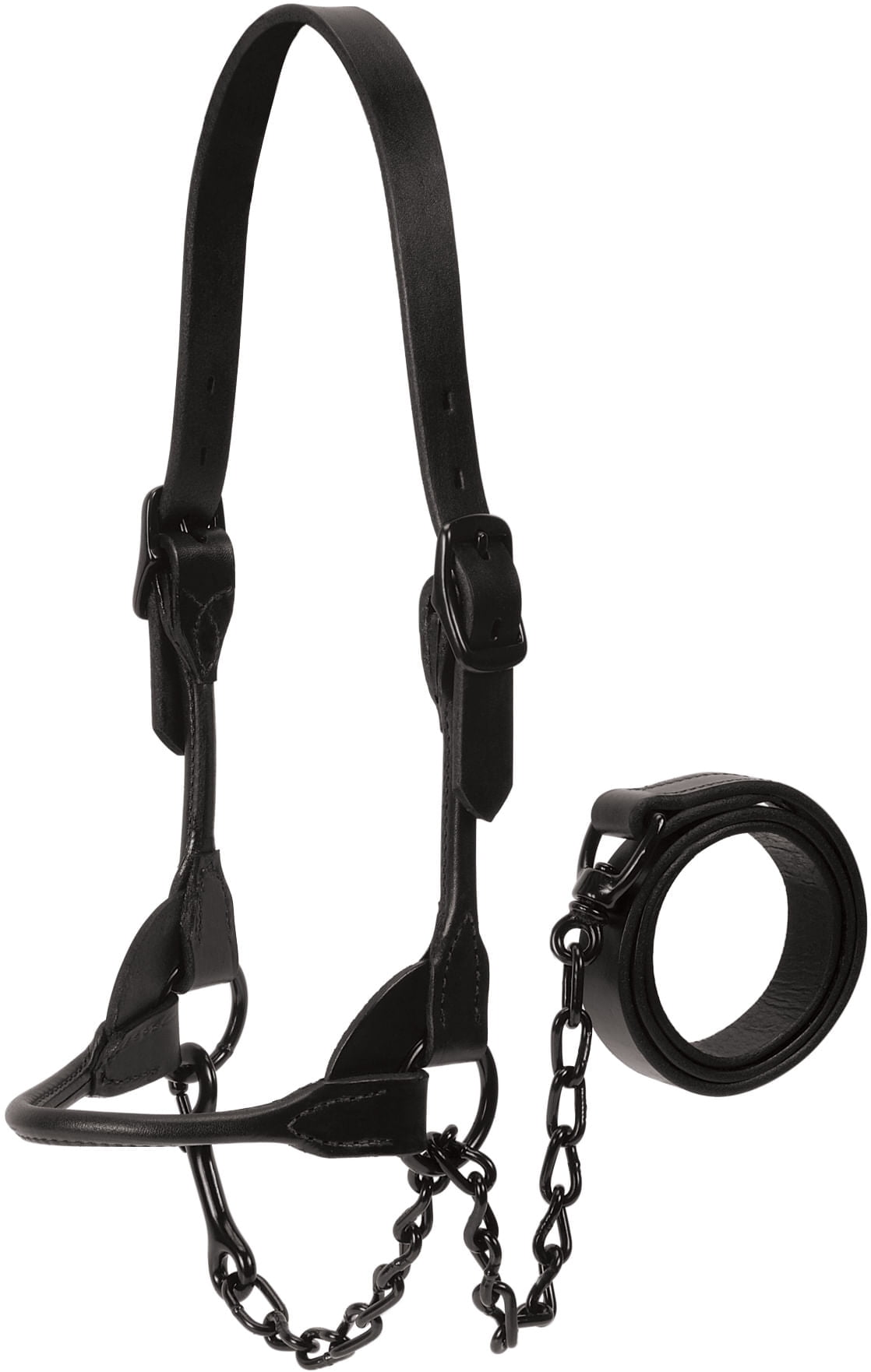 Weaver Leather Livestock Black Magic Show Halter, Small - Walmart.com