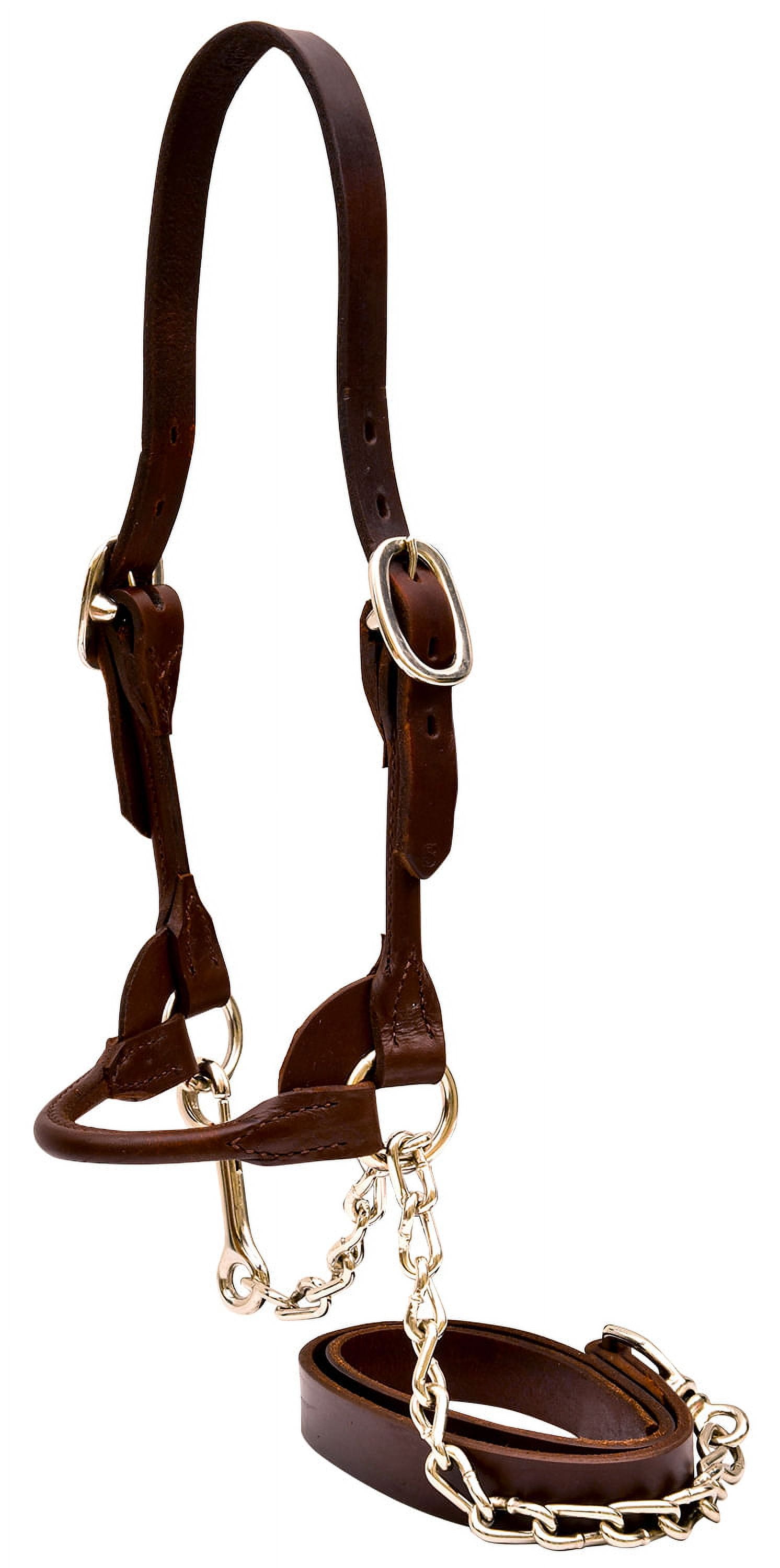 Weaver Leather Livestock Dairy/Beef Rounded Show Halter Brown ,Small ...