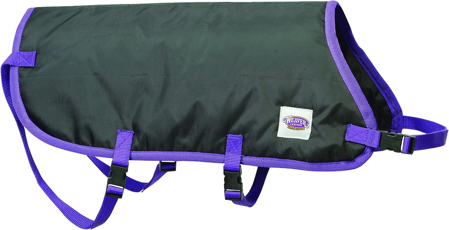 Weaver Leather Livestock Pro Calf Blanket - Walmart.com